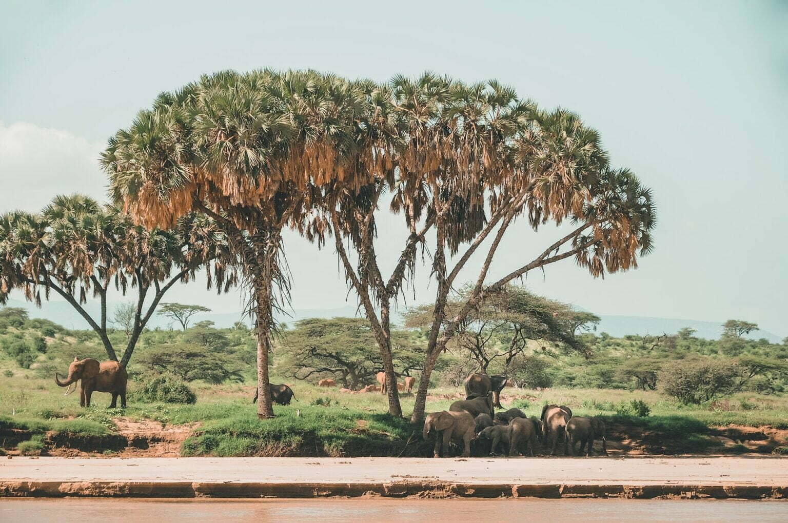Botswana safe for tourists in 2026